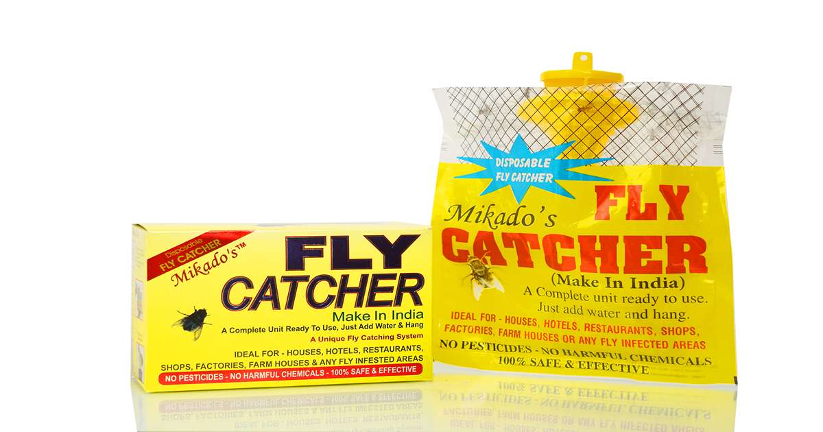 Best Mikado's Fly Catcher (Regular) Pack of 5